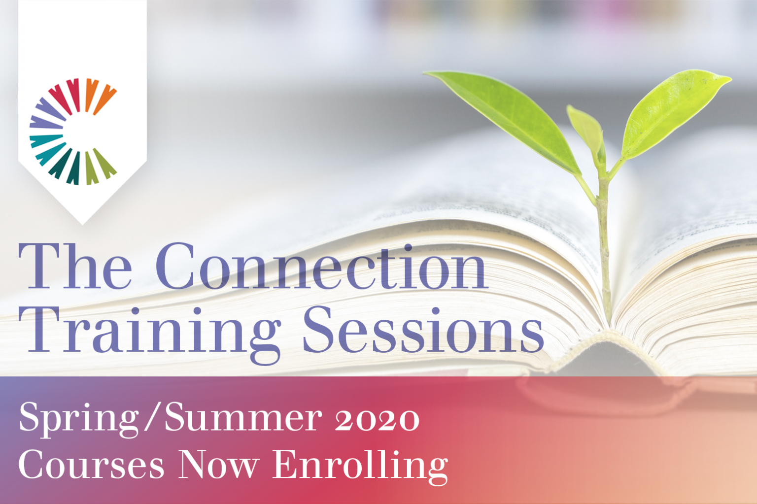 The Connection Training Sessions, Spring/Summer 2020 Courses Now ...